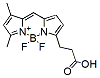 BDP Labeling, BODIPY, BODIPY Dye | BroadPharm