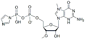 Guanosine-5'-(trihydrogen diphosphate)-7-methyl-3'-O-Methyl | 2089461 ...